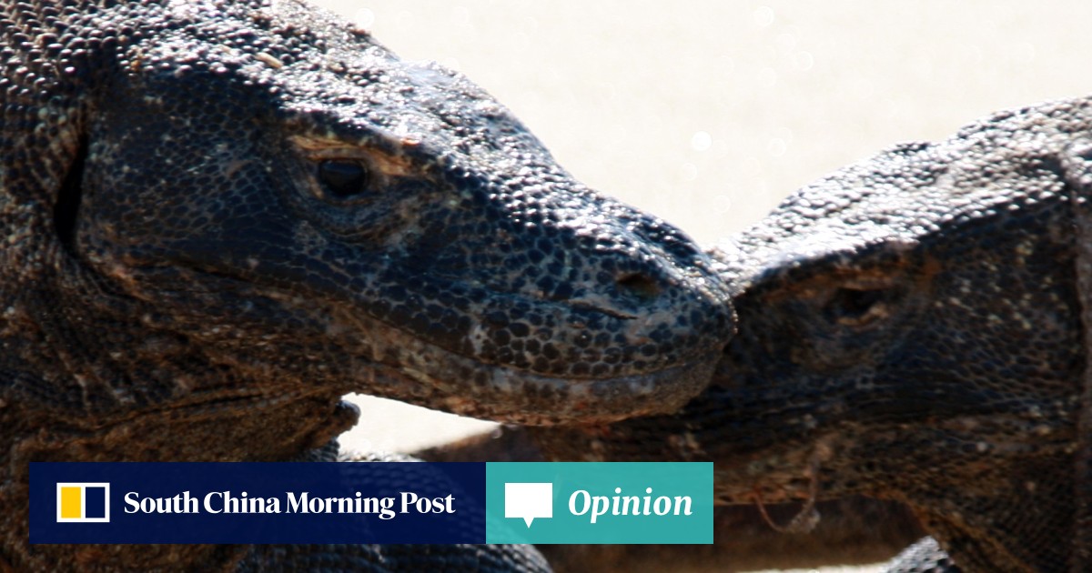The future of Komodo National Park hangs in the balance, caught between ...