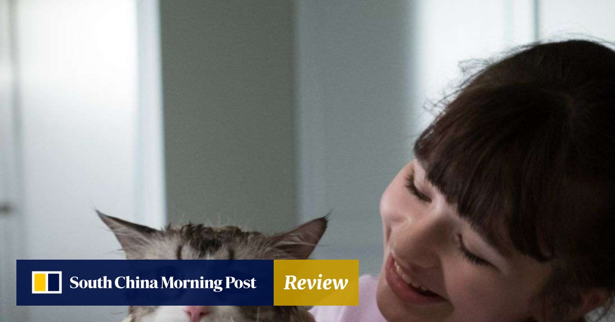 Film review: Nine Lives – Kevin Spacey loses his mind in abysmal ...